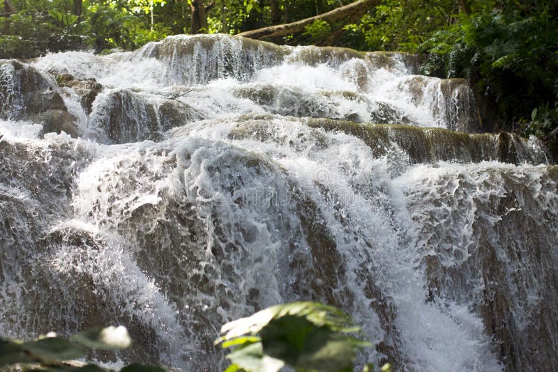 Waterfall in Forest, Abundance of Nature Stock Image - Image of jungle ...