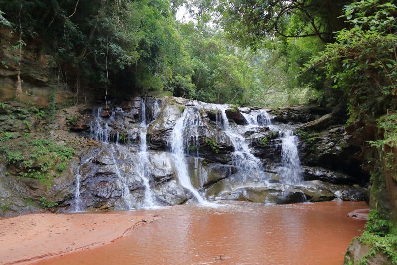 Waterfall in Forest at Amboro National Park, Bolivia Stock Photo ...