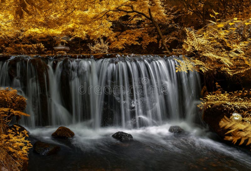 Waterfall in the Forest. Autumn in the Forest. Waterfall in the Stock ...