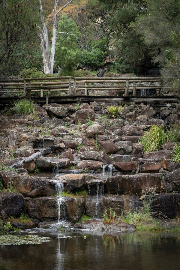 Waterfall in Forest in Ballarat Stock Photo - Image of waterfall, green ...