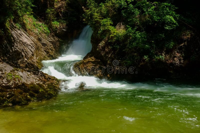 Waterfall from the Forest into a Basin while Hiking Stock Photo - Image ...