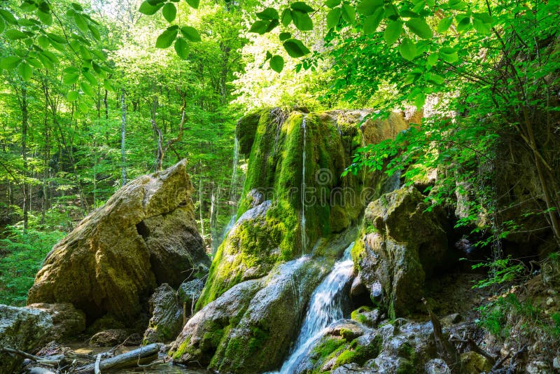 Waterfall in the forest stock photo. Image of rural - 147574954