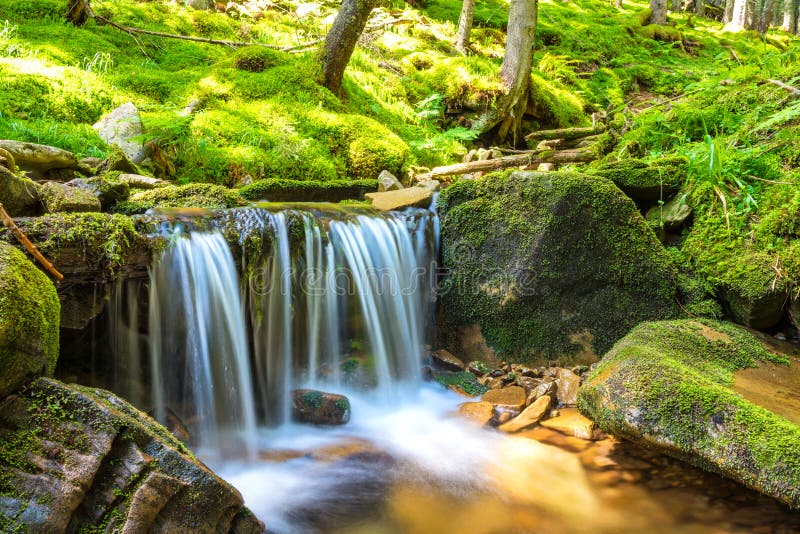 Waterfall in the forest stock photo. Image of rain, stream - 79812056