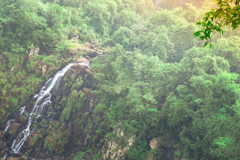 Waterfall in the forest stock image. Image of sunny, outdoors - 84952899