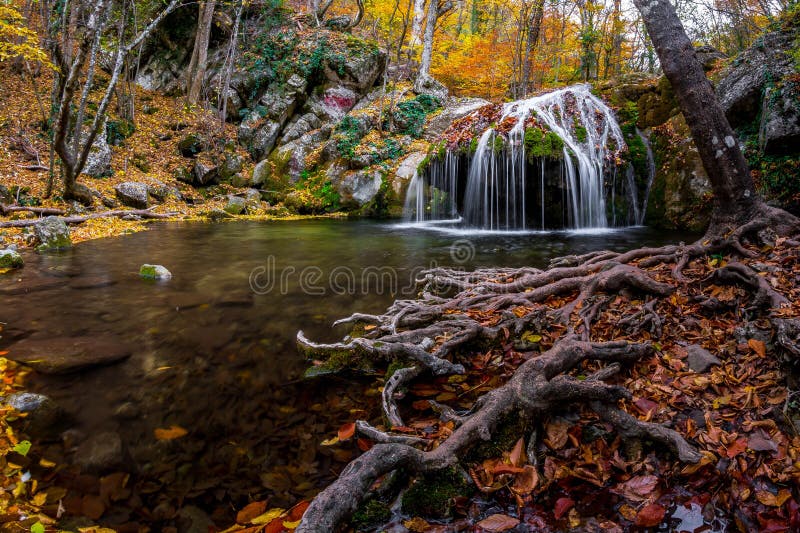 Waterfall in the forest stock photo. Image of tropical - 387621898
