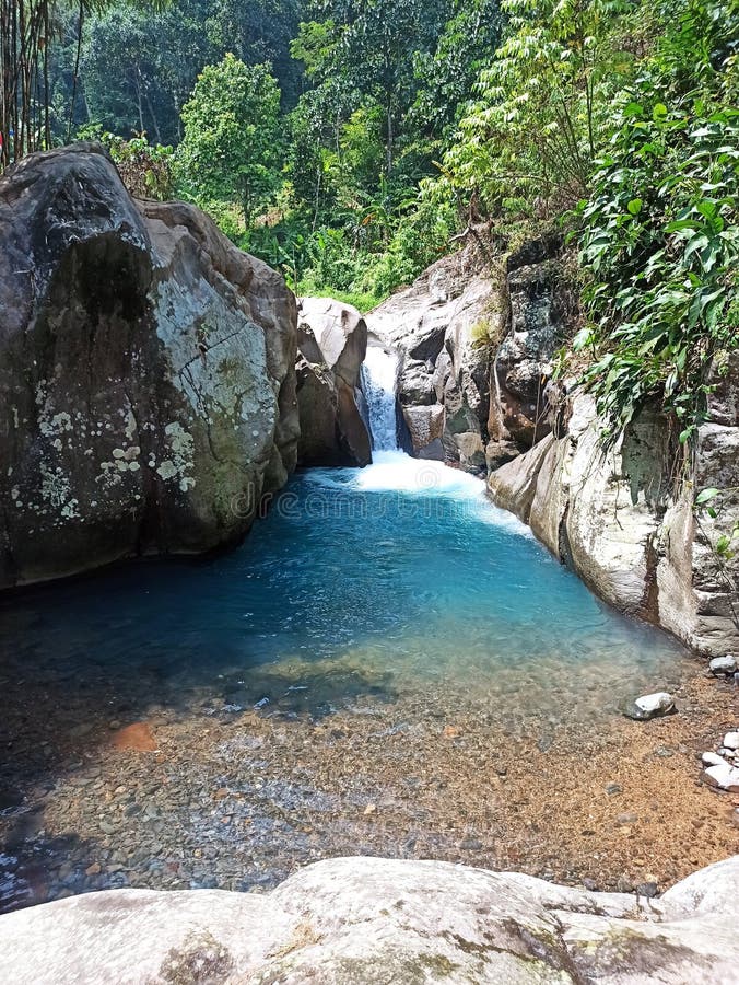 Waterfall in the Forest Jungle with Green Tree Clear Water Stock Photo ...