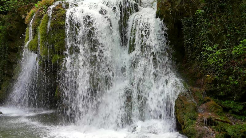 Waterfall in the Forest, 4k, Slow Motion Stock Footage - Video of ...