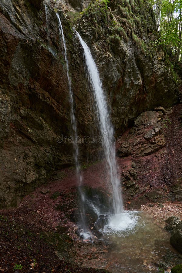 Waterfall in the forest stock image. Image of green - 258875189