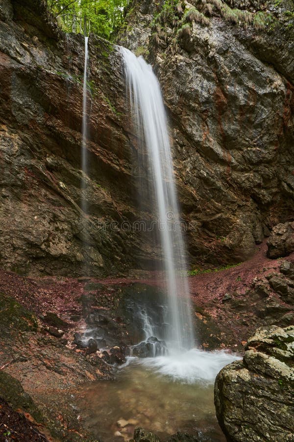 Waterfall in the forest stock image. Image of jungle - 258875193