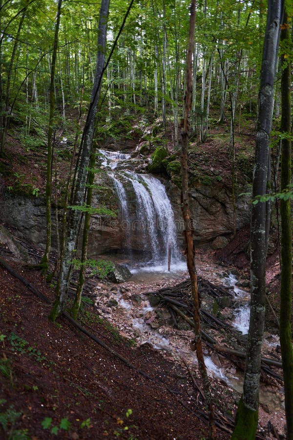 Waterfall in the forest stock image. Image of mountain - 258875195