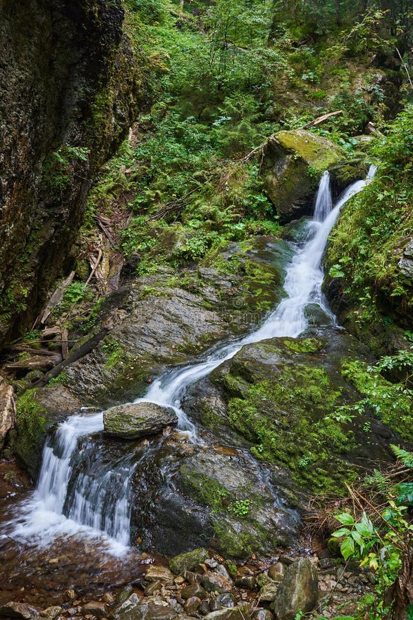 Waterfall in the forest stock photo. Image of environment - 335251130