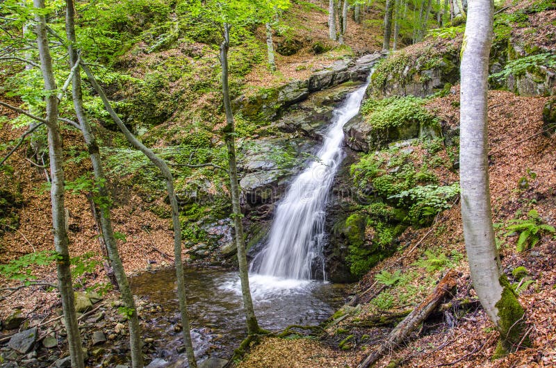Beautiful Waterfall Comes Out of a Huge Rock in the Forest Stock Photo ...