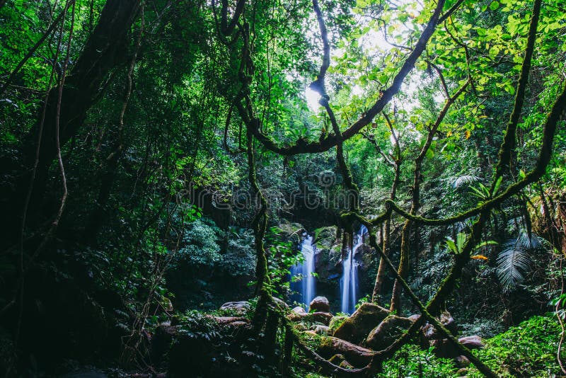 Waterfall in the Forest or Motion of Water at Brook of Water Fall. with ...