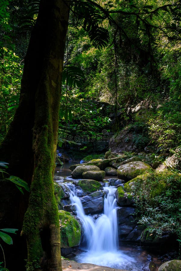 Waterfall in the Forest or Motion of Water at Brook of Water Fall. with ...