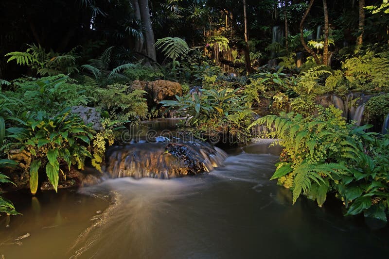 Waterfall in Forest at the Night Stock Photo - Image of green, scenery ...