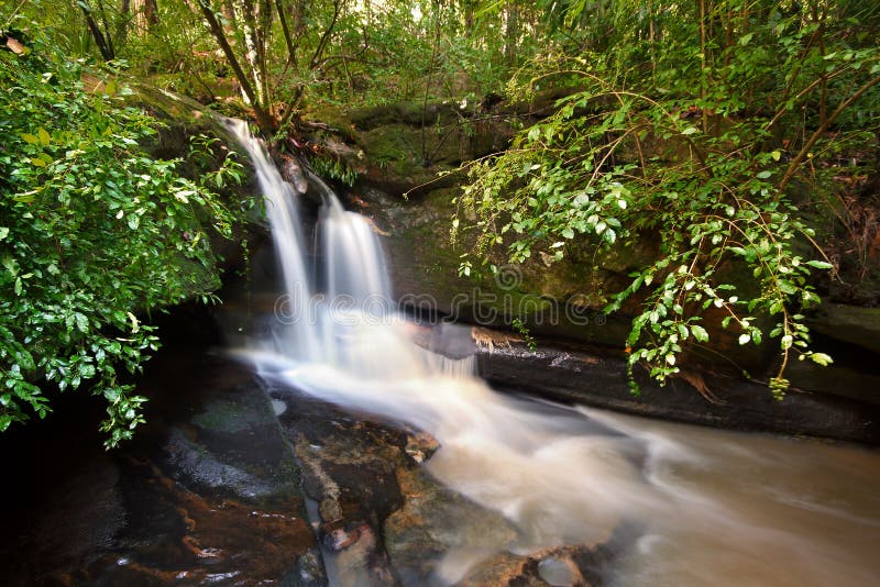 Waterfall in the Forest on Nsw Central Coast in Australia Stock Photo ...