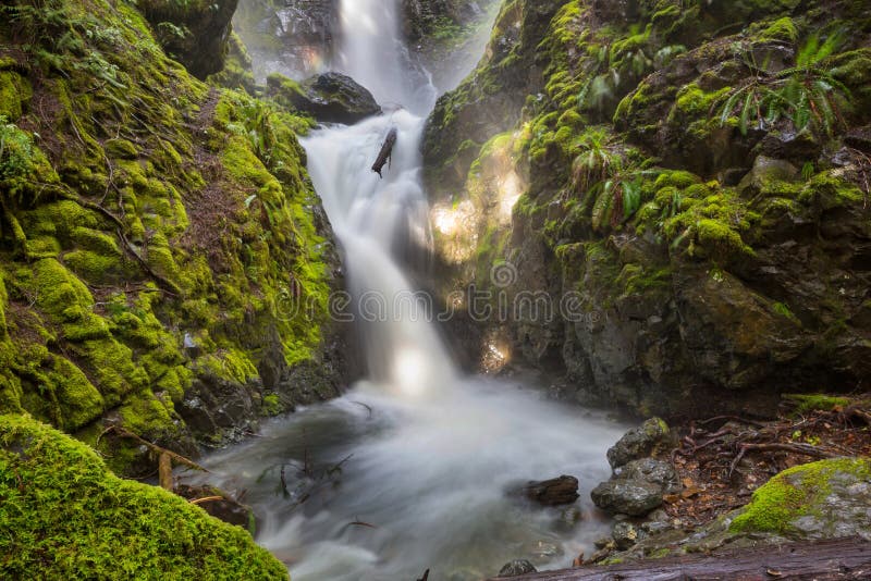 Waterfall in forest stock image. Image of landscapes - 254582357