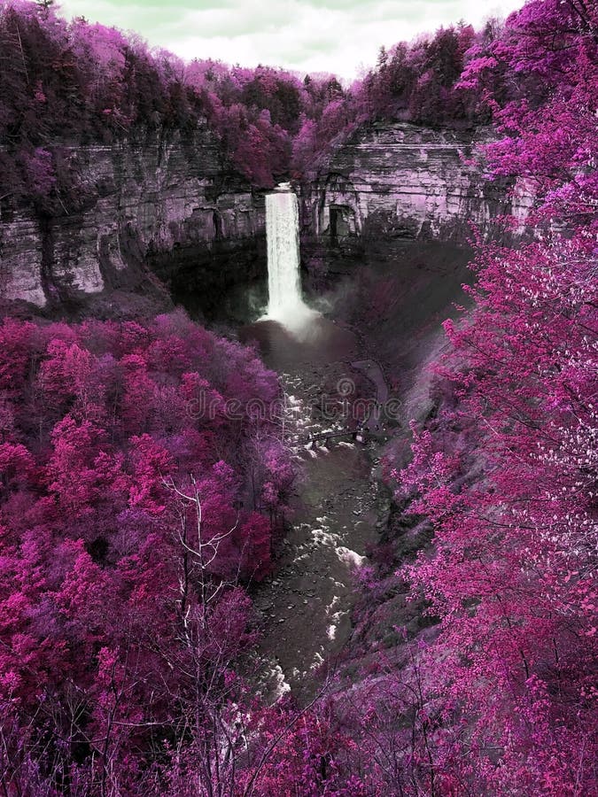 Waterfall in the Forest with Pink Trees in the Foreground, Horizontal ...