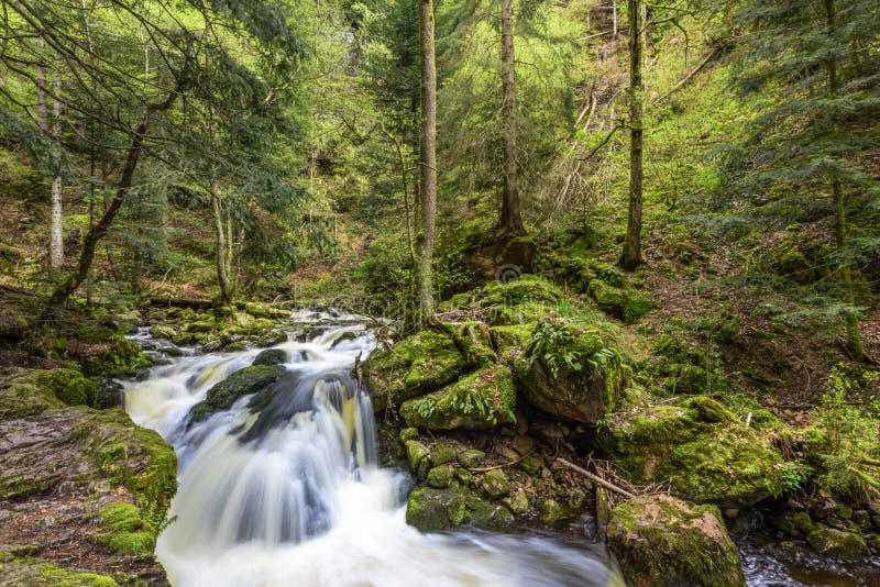Hinterzarten,Black Forest,Germany Stock Image - Image of black, tourism ...