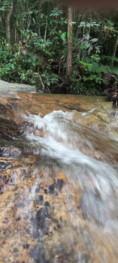 Waterfall, Forest River, Clear Water, Rainforest, Clean River Stock ...