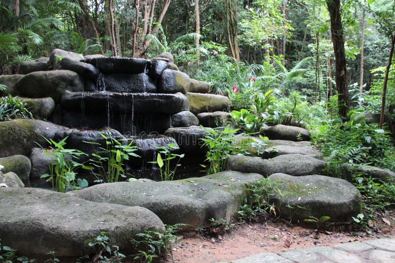 Waterfall in a Forest at Sentosa Island - Singapore Stock Photo - Image ...