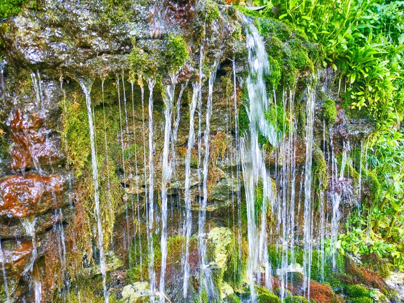 Waterfall in the Forest. Small Waterfall with Beautiful Nature Stock ...