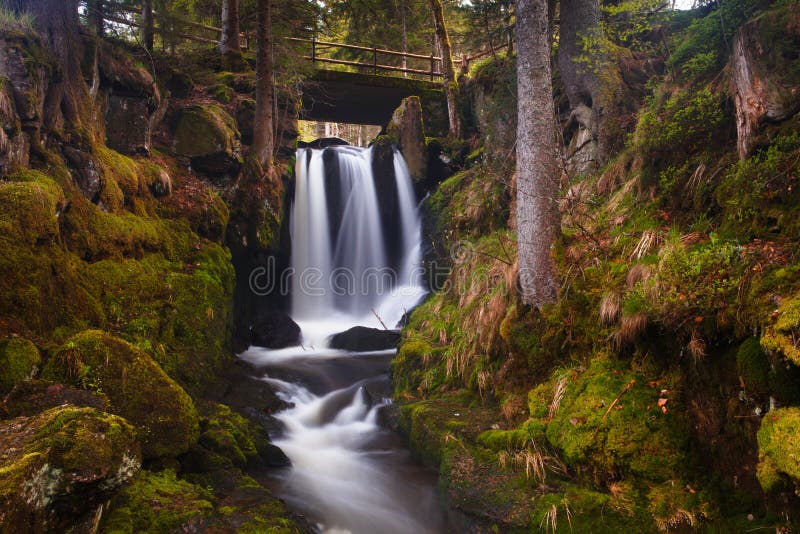 Waterfall stock photo. Image of trees, river, wild, green - 34108264