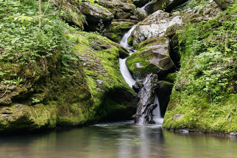 Waterfall in the Forest stock photo. Image of plant - 227436112