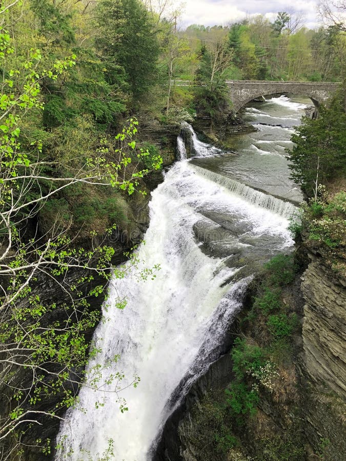 Waterfall in the Forest in the Spring. the River Flows through the ...