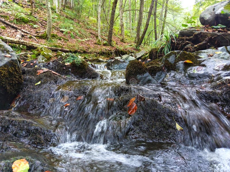 A Waterfall on a Forest Stream. Stock Image - Image of rapid, autumn ...