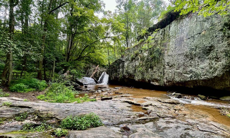 Waterfall in Forest among Trees, Nature Waterfall Stream Stock Image ...