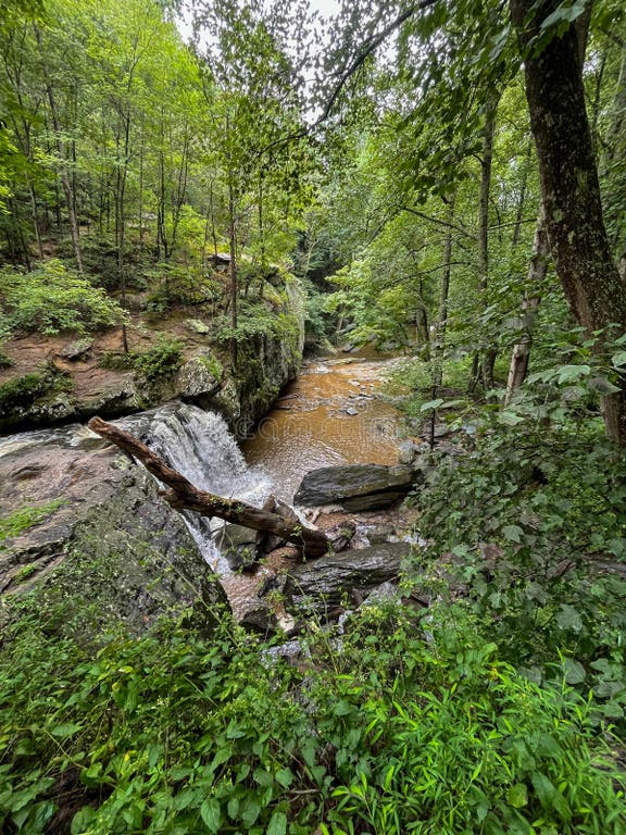 Waterfall in Forest among Trees, Nature Waterfall Stream Stock Image ...