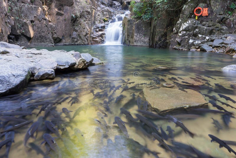 Waterfall Trough Rock Tourist Attraction Krabi Thailand Beautiful ...