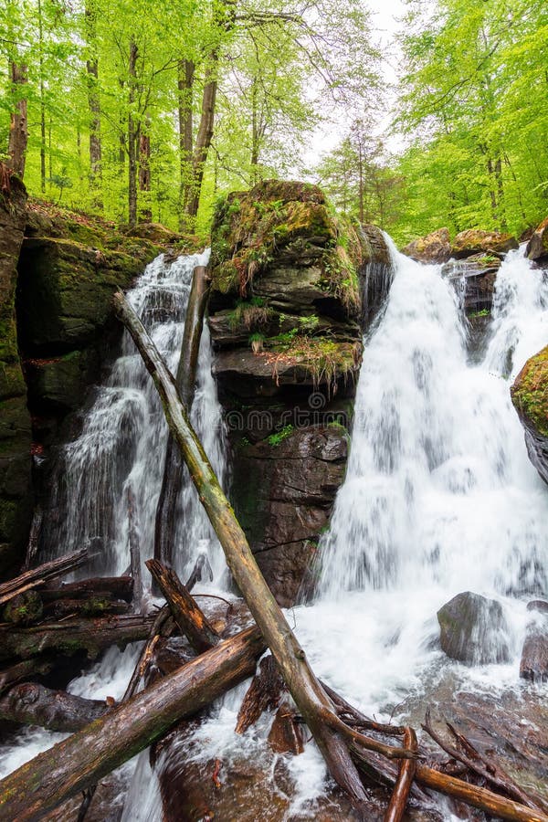 Waterfall in the forest stock photo. Image of park, high - 172612468