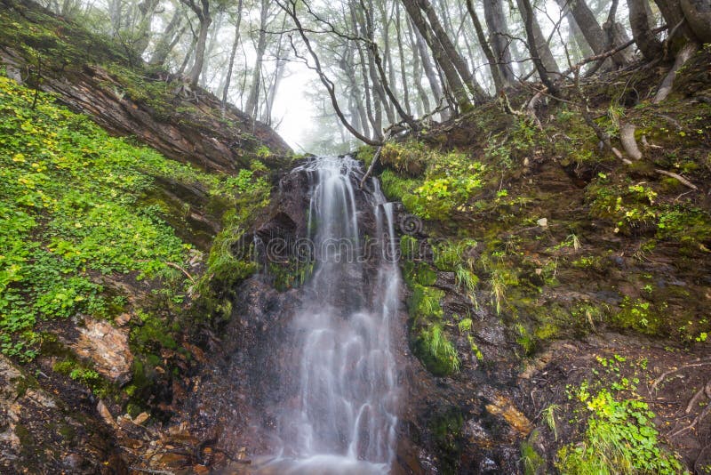 Waterfall in the forest stock image. Image of mountain - 144876267