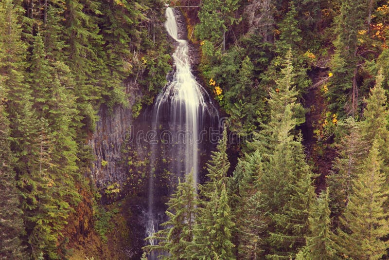 Waterfall in the forest stock photo. Image of forest - 100240468
