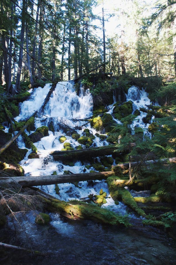 A waterfall in the forrest stock image. Image of green - 67345751