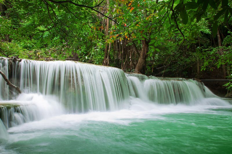 Waterfall in Fresh Green Forest Stock Image - Image of heaven, pool ...