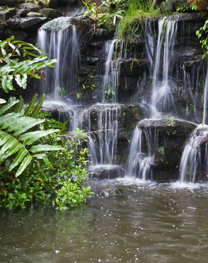 Waterfall in the Rain Forest Stock Photo - Image of drop, autumn: 16456620