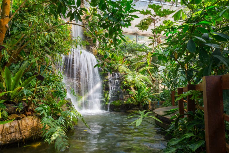 Waterfall Garden Maple Trees in Autumn Season Stock Photo - Image of ...