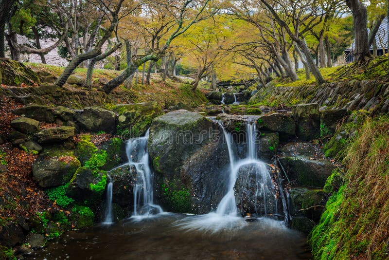Waterfall garden stock photo. Image of clear, nature - 55178520