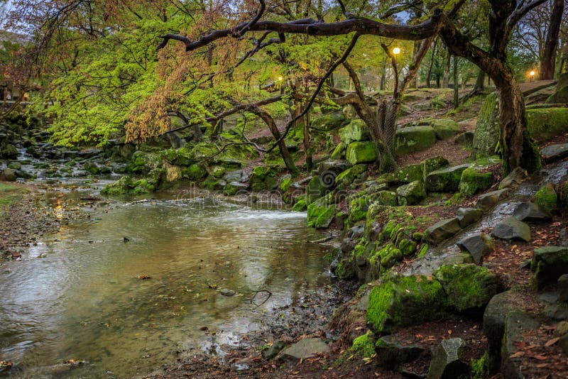 Waterfall garden stock photo. Image of outdoors, clean - 55188360