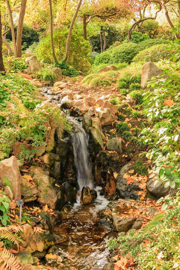 Waterfall in the garden stock photo. Image of relax - 259109800