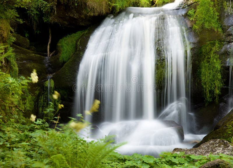 Waterfall in Germany stock image. Image of motion, green - 115787729