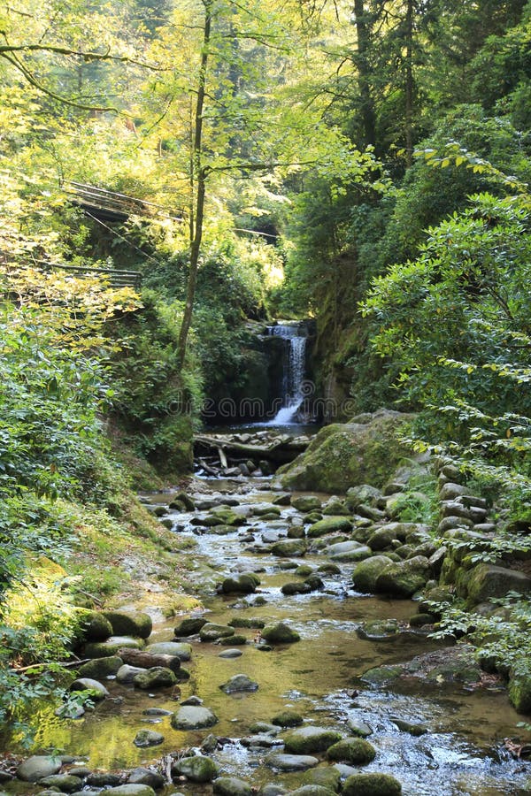 Waterfall Geroldsau Baden-baden Stock Image - Image of leaf, badenbaden ...
