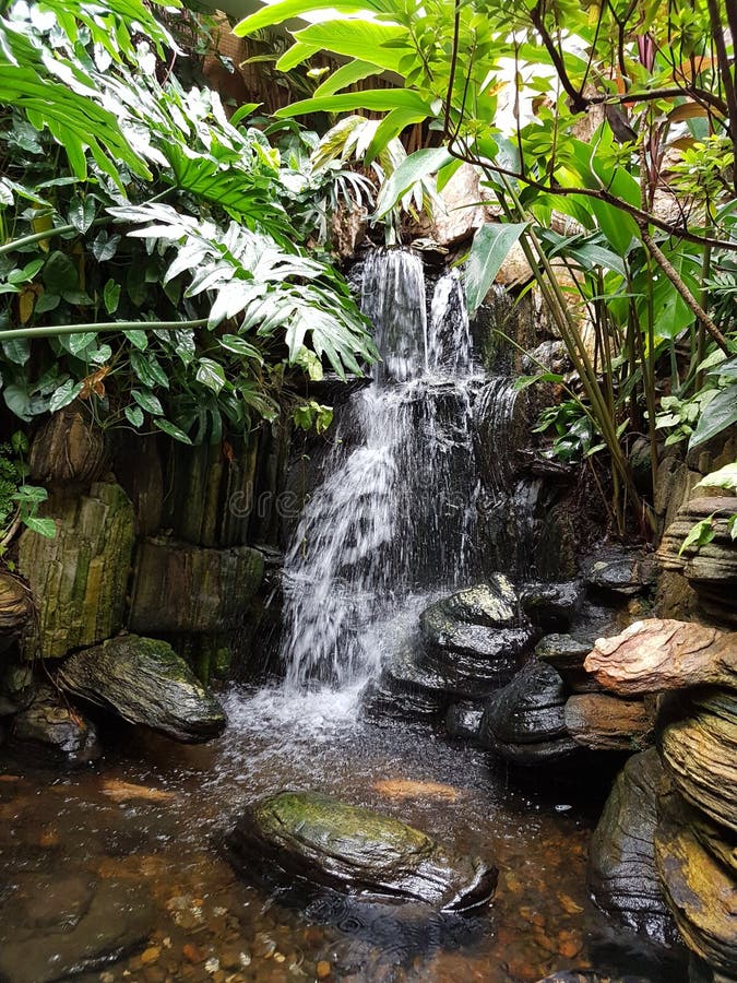 Waterfall of the Good Will stock image. Image of garden - 221432095