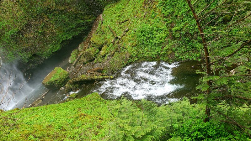 Waterfall gorge stream stock photo. Image of woodland - 226348512