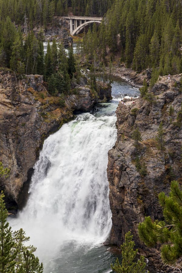 Waterfall at Grand Canyon of Yellowstone.USA. Stock Photo - Image of ...