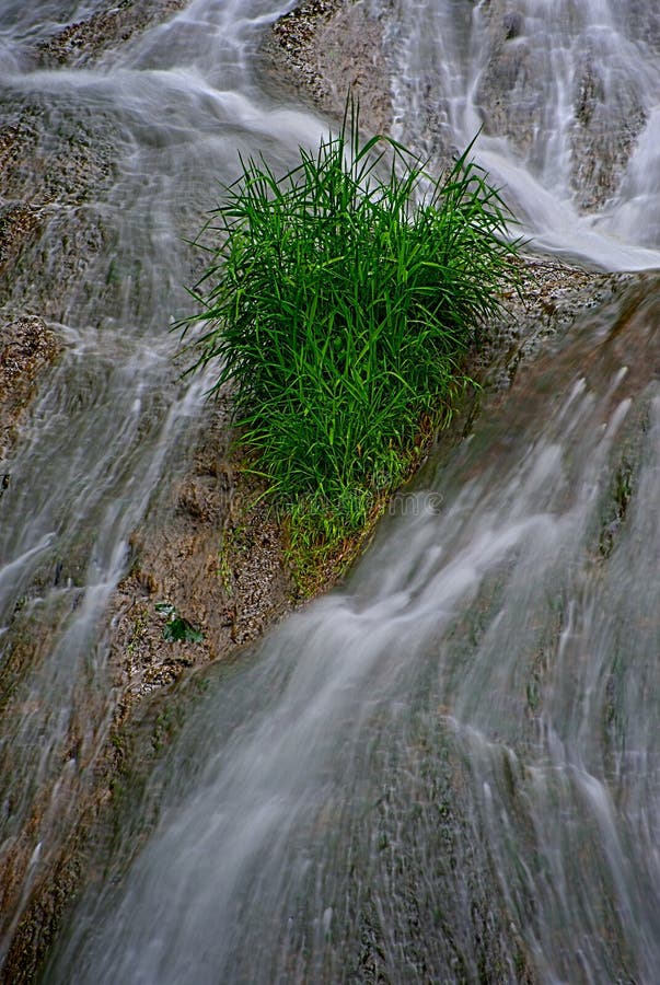 Waterfall and Grass stock photo. Image of rapid, blur - 14368494