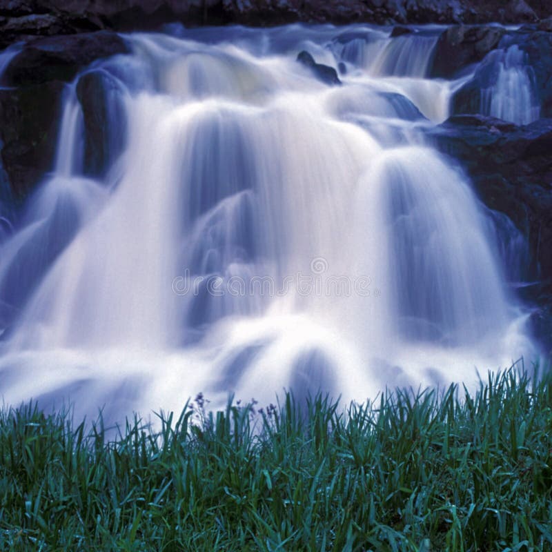 Waterfall with grass stock photo. Image of rock, refreshing - 2402256